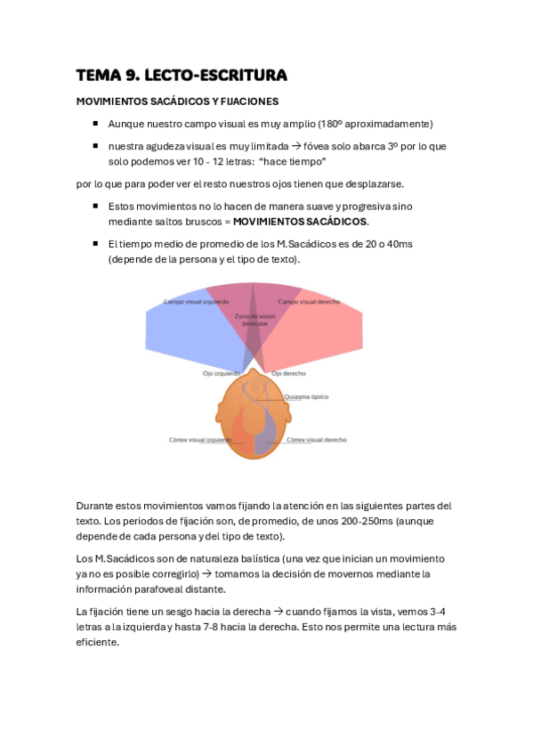TEMA-9-LECTOESCRITURA.pdf