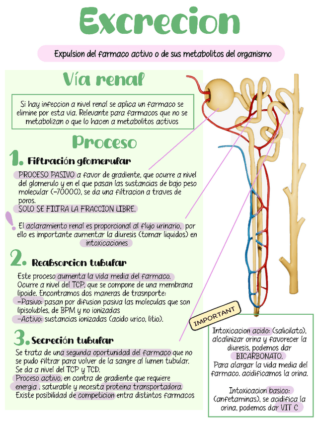 tema-4-farma.pdf