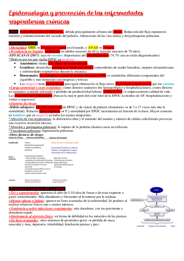 19.-Epidemiologia-y-prevencion-de-las-enfermedades-respiratorias-cronicas.pdf
