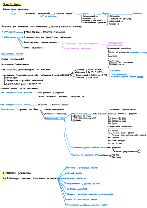 Esquemas-Temas-2o-Parcial-11-25-Y-27.pdf
