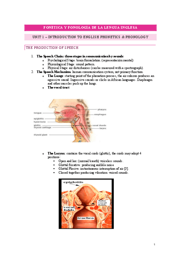 Fonetica-y-fonologia.pdf