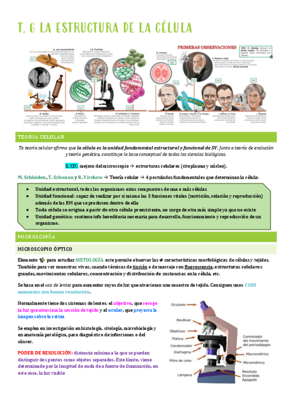 T.6-la-estructura-de-la-celula.pdf