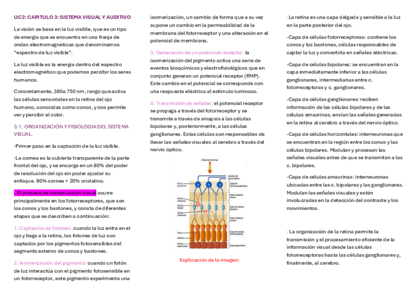 UC2-CAPITULO-3-SISTEMA-VISUAL-Y-AUDITIVO.pdf
