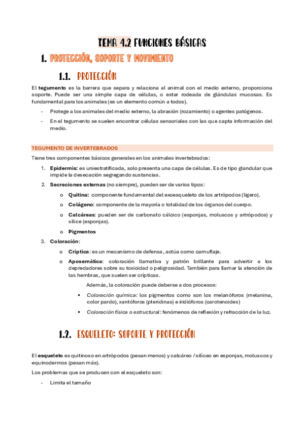 TEMA-4.2.-Funciones-basicas.pdf