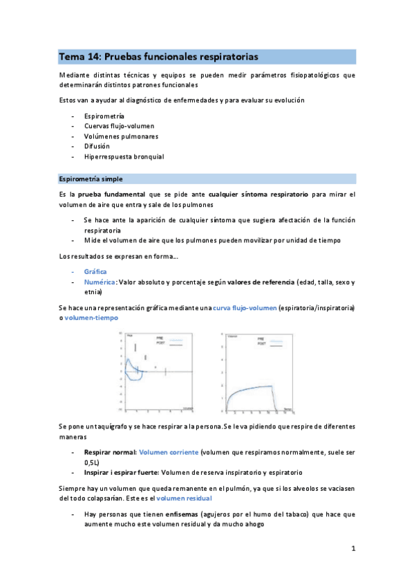 T14-pruebas-funcionales-respi.pdf