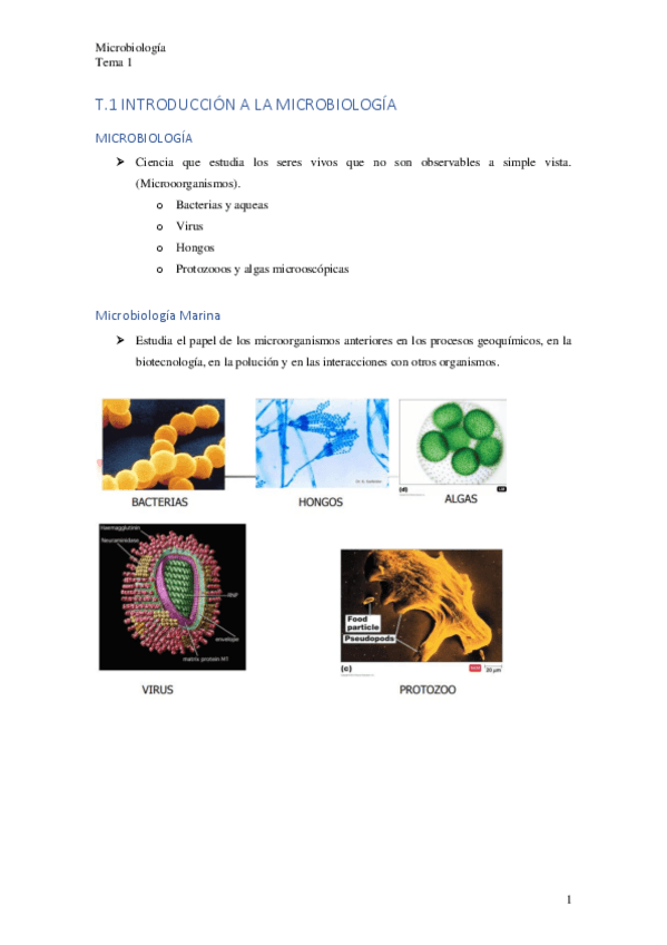 T.1-Introduccion-a-la-Microbiologia.pdf