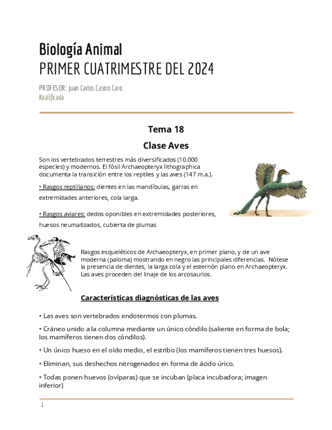 Tema-18-aves.pdf