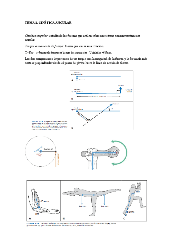 TEMA-2.-CURSO-2425-CINETICA-ANGULAR.pdf