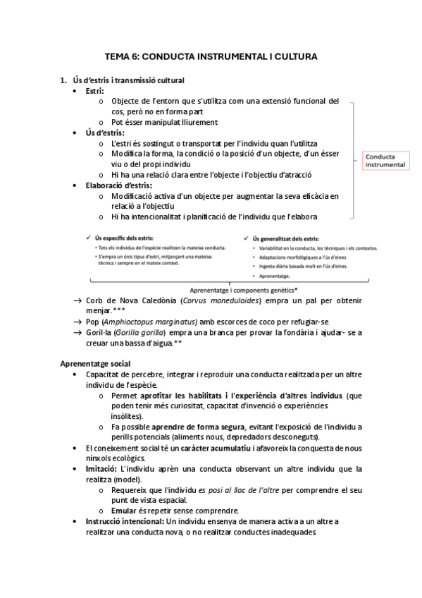 TEMA-6-ETO.pdf