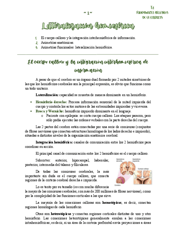 T6-Lateralizacion-hemisferica.pdf