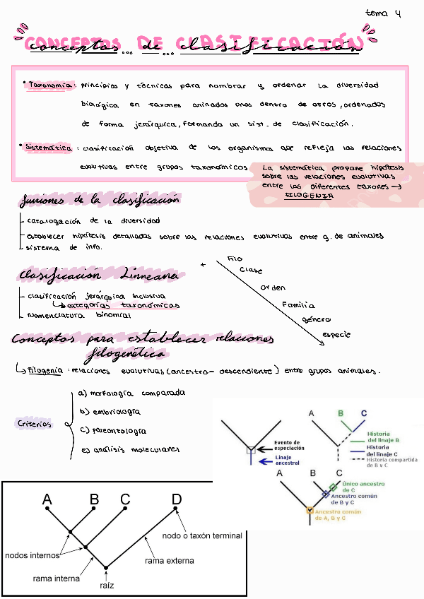 Esquema-tema-4-Zoo.pdf