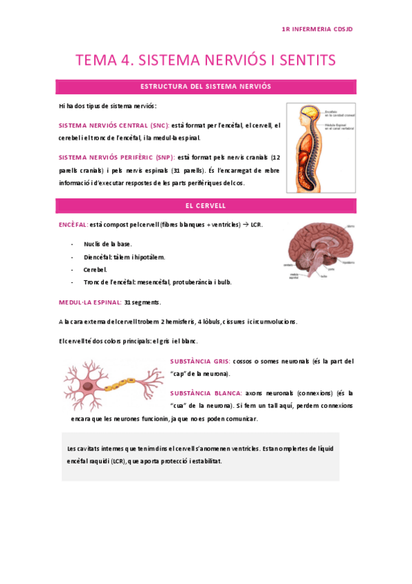Tema-4.-Sistema-nervios.pdf