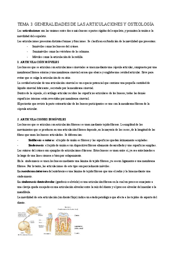 TEMA-3-anatomia.pdf