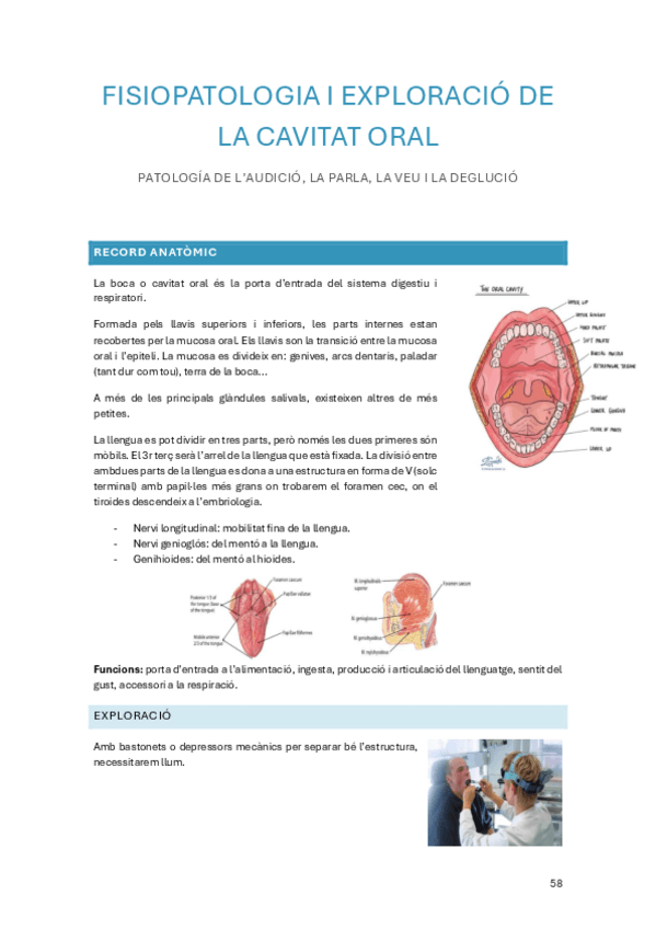 cavitat-oral.pdf