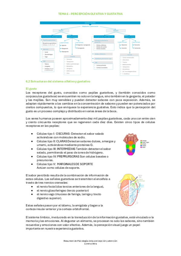 Resumen-Tema-6-percepcion.pdf
