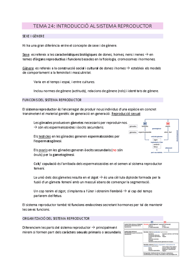 TEMA-24.pdf