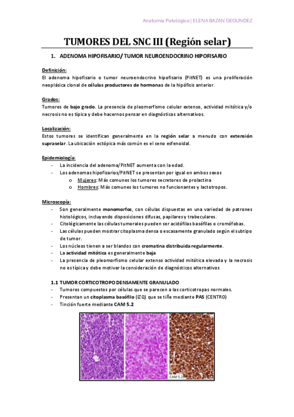 TUMORES-SNC-III.pdf
