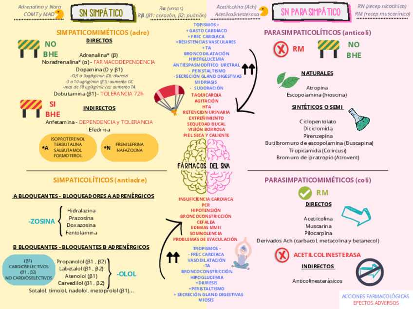 Esquema-T2-farmacos-SNA.pdf