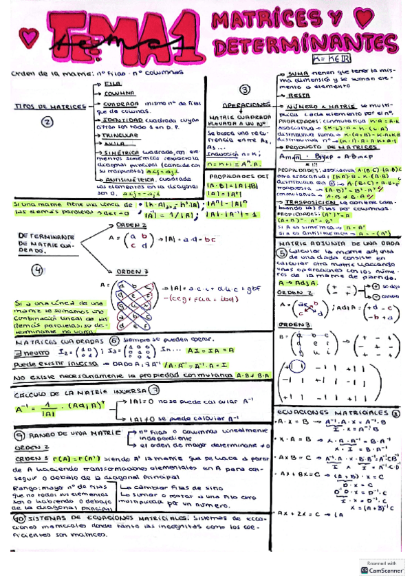 TEMA-1-MATRICES-Y-DETERMINANTES.pdf