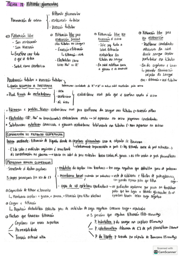 Esquema-tema-18-fisiologia-humana--filtrado-glomerular.pdf