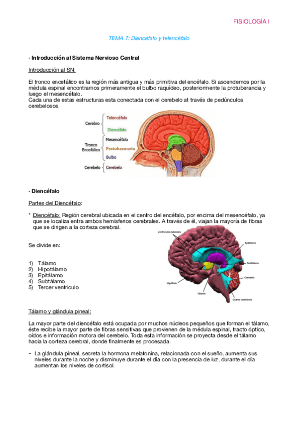 Fisiologia-T7.pdf