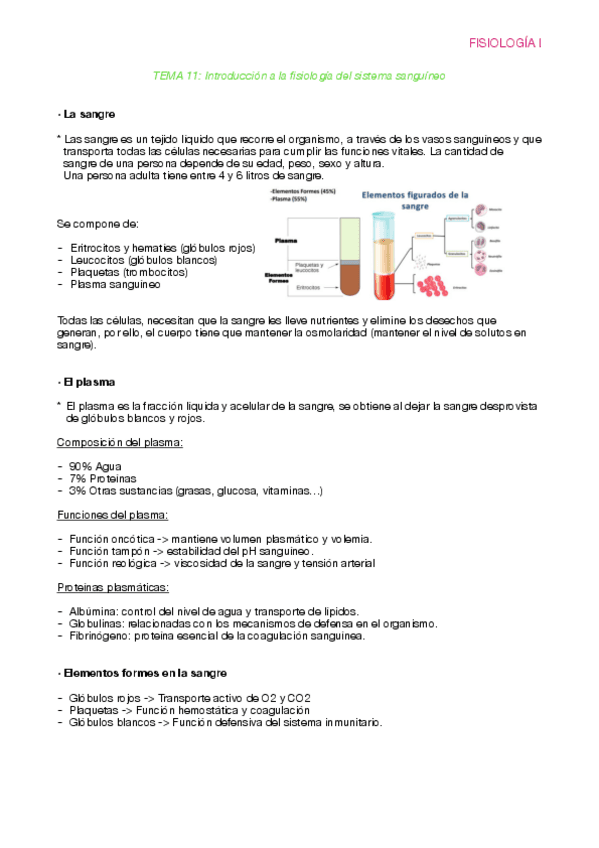 Fisiologia-T11.pdf