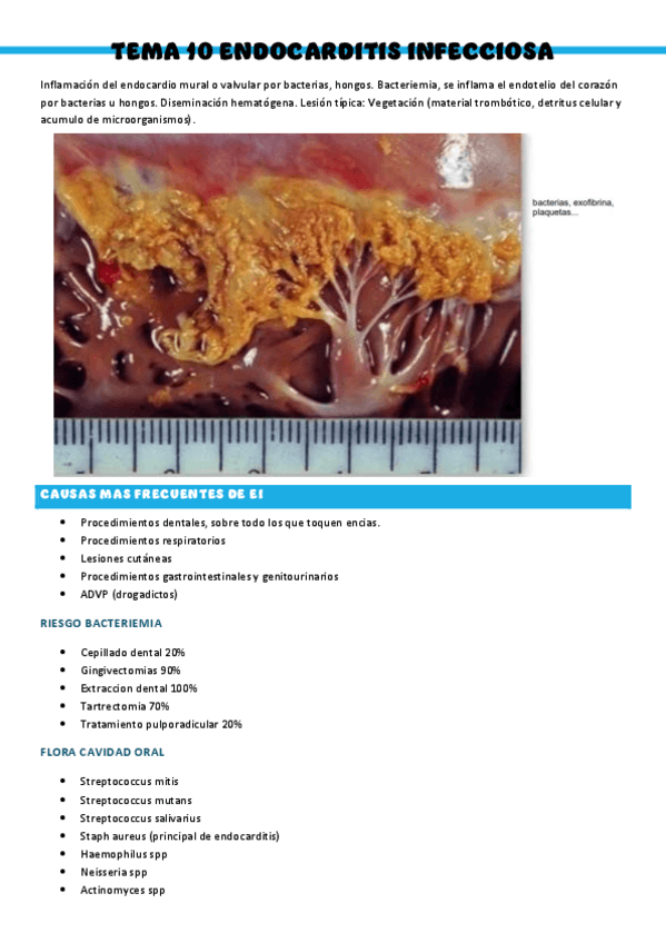Patologia-medica-general-T10.pdf