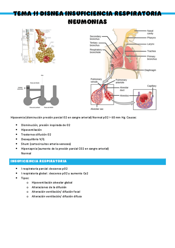 Patologia-medica-general-T11.pdf