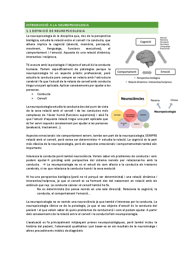 APUNTS-NEURO-DEFINITIUS.pdf