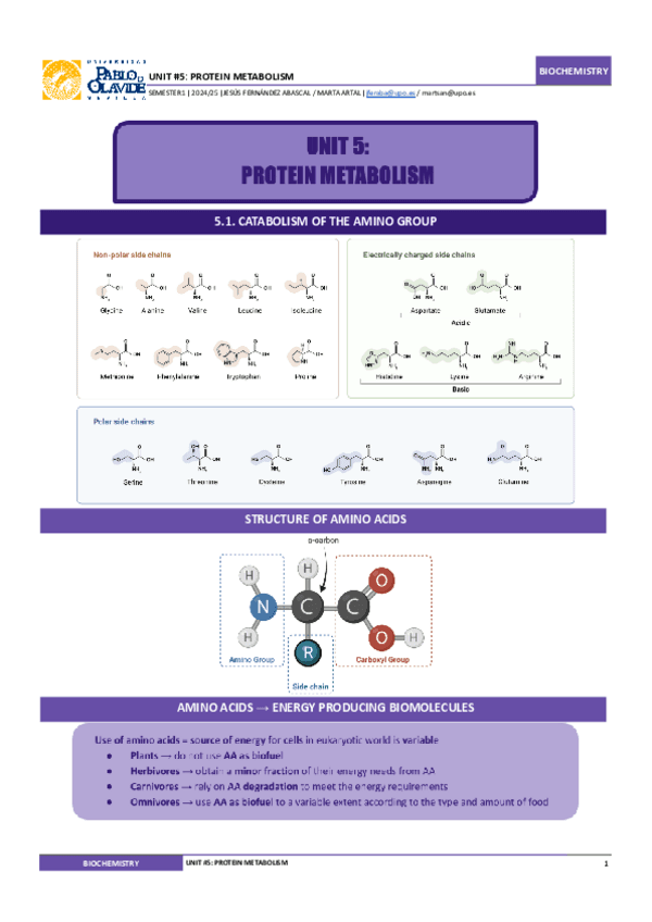 Unit-5.-Protein-Metabolism.pdf