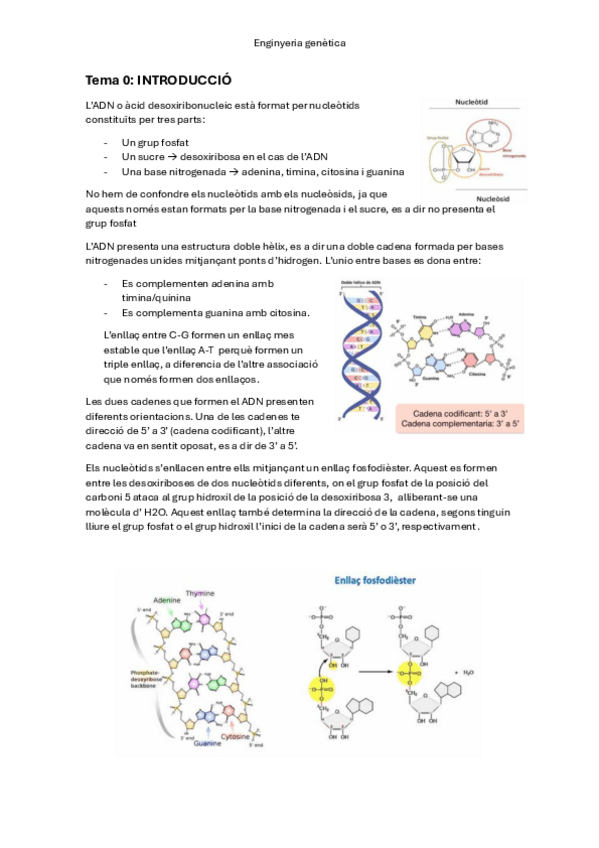 Apunts-complets-2024.pdf