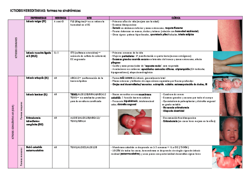 ESQUEMA-Tema-10.-Ictiosis.pdf