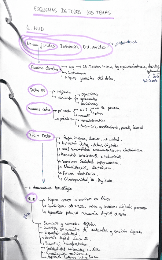 ESQUEMAS-DE-TODOS-LOS-TEMAS.pdf