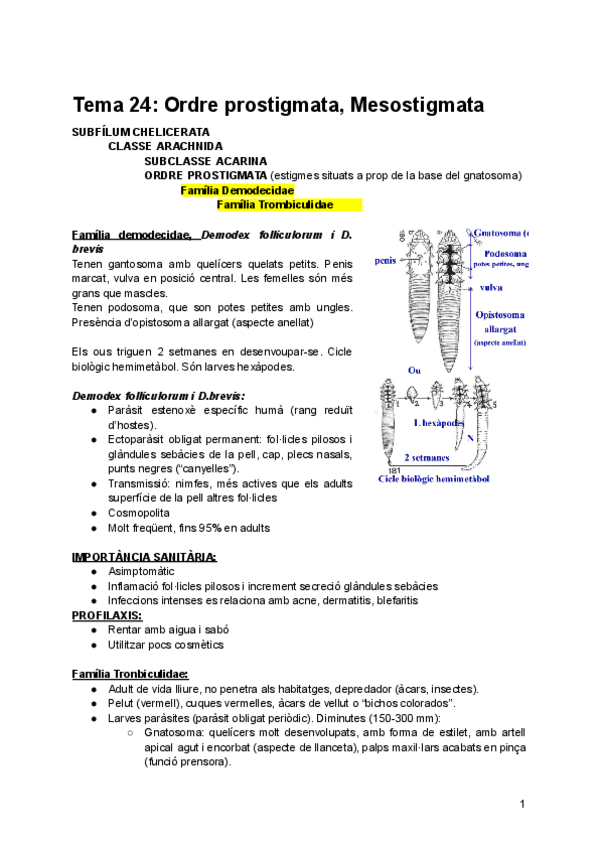 Tema-24-Ordre-prostigmata-familia-Demodecidae-i-Trombiculidae.pdf