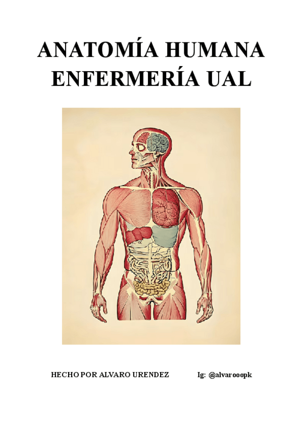 Libro De Anatomia Completo Pdf