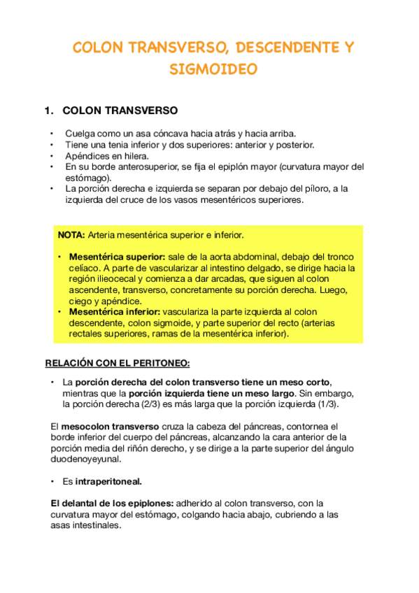 T36.-Colon-transverso-descendente-y-sigmoideo.pdf