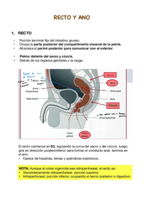 T37.-Recto-y-ano.pdf