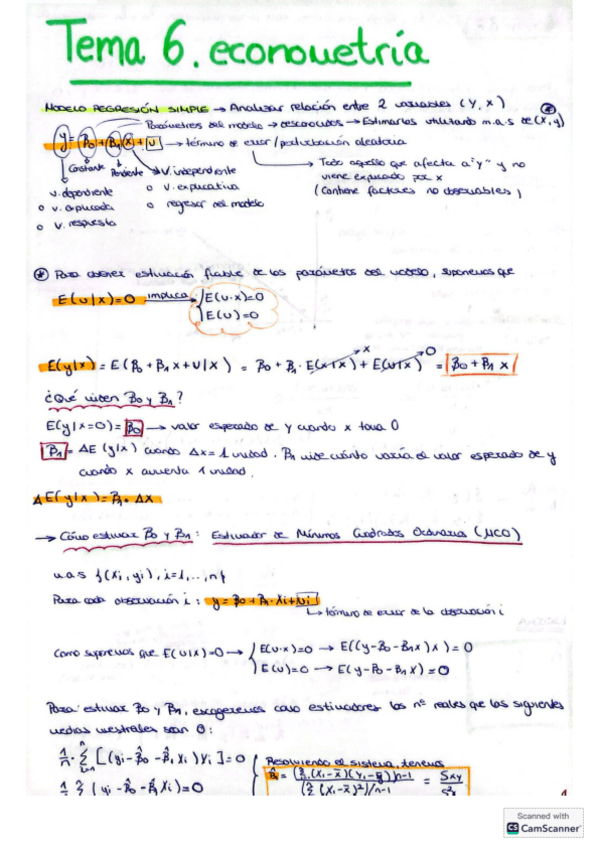 Tema-6-Accadem-Econometria.pdf