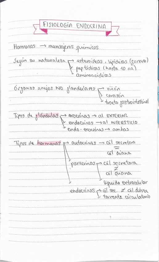 Esquema-sistema-endocrino.pdf