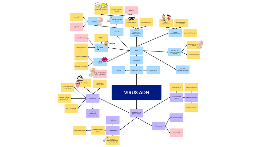 Esquema-virus-ADN.pdf