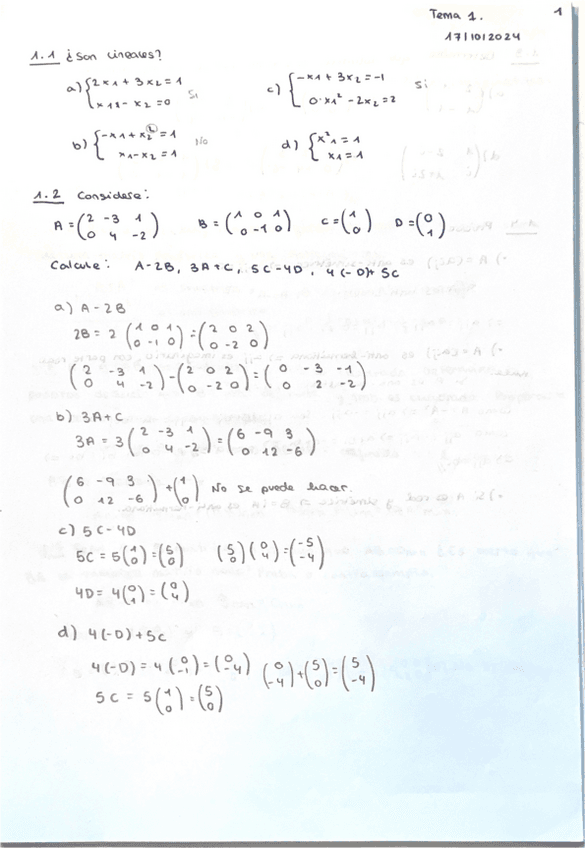 Soluciones-Tema-I-Algebra-lineal-y-Geometria.pdf