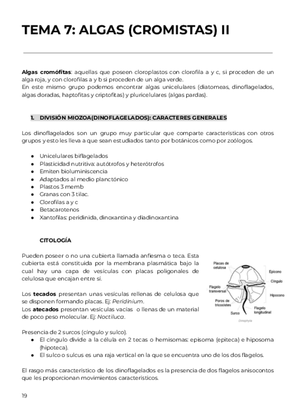 tema-7-parte-2-algas-cromistas-2.pdf