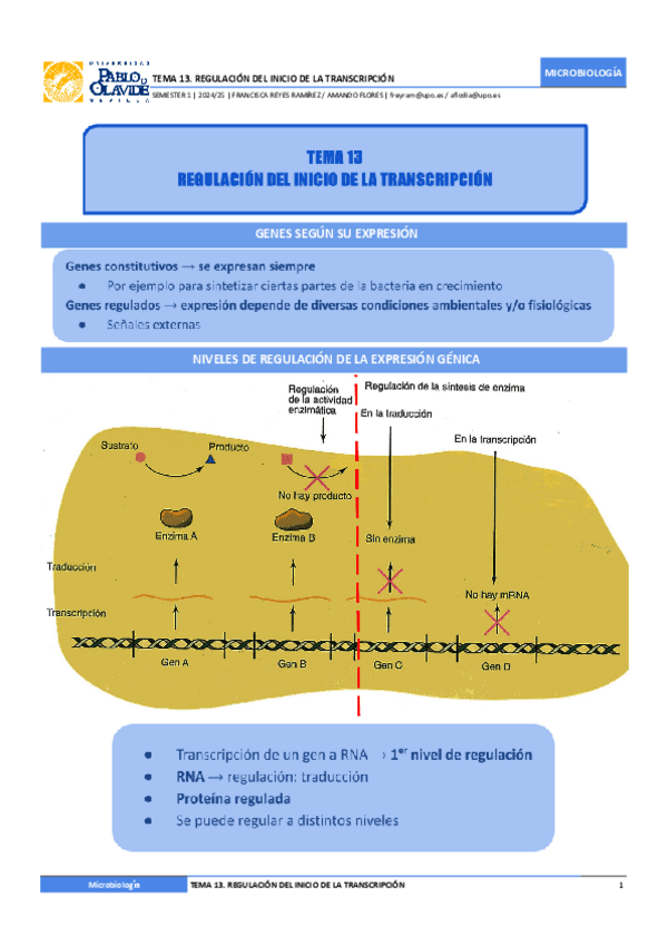 Tema-13.-Regulacion-del-inicio-de-la-transcripcion.pdf