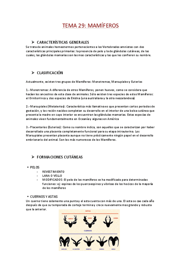 TEMA-29-Mamiferos.pdf