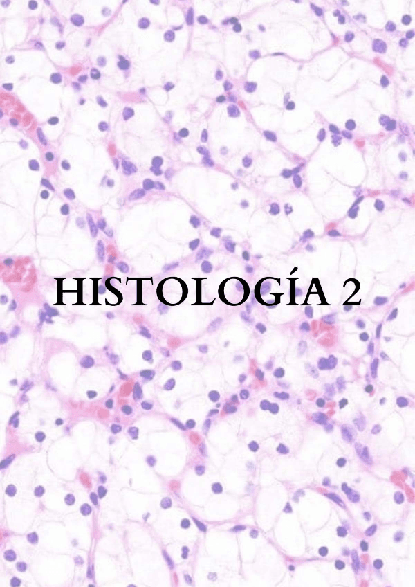 Histo-2-Digestivo240120200904.pdf