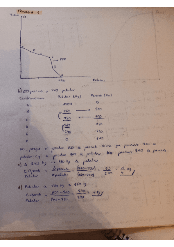 Ejercicios-tema-1-corregidos.pdf