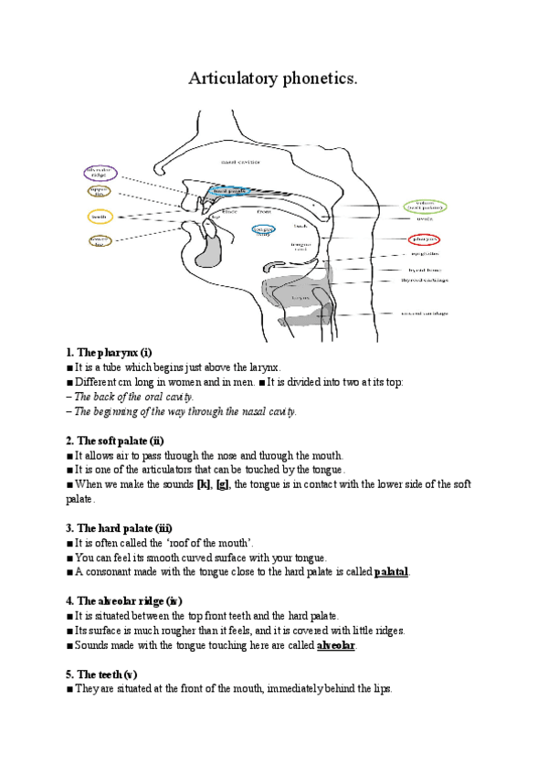 Articulatory-phonetics.pdf
