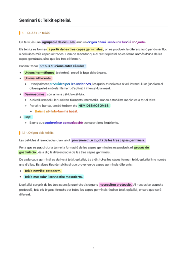Seminari-6-Teixit-epitelial..pdf