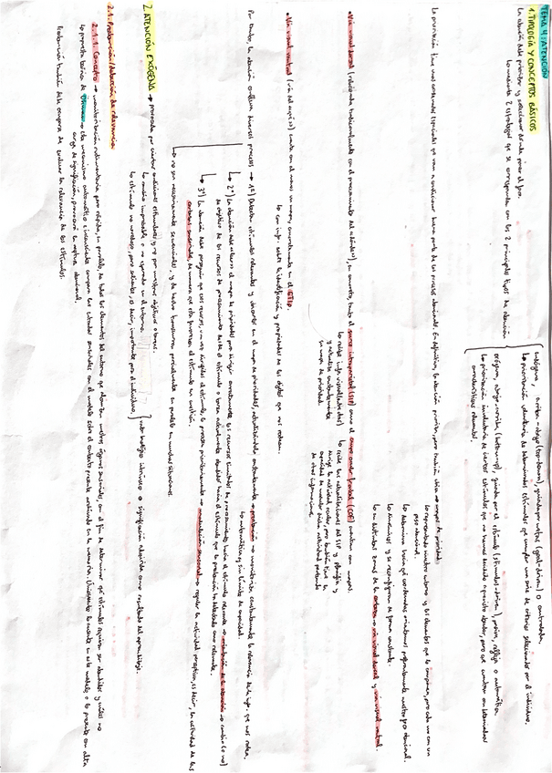 ESQUEMA-TEMA-4-ATENCION.pdf