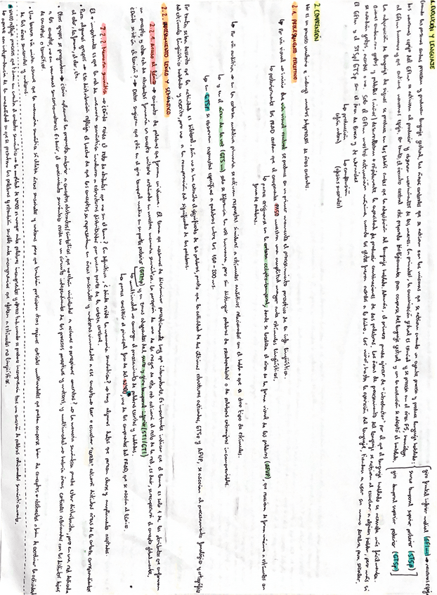 ESQUEMA-SEMINARIO-LENGUAJE-TEMA-6.pdf